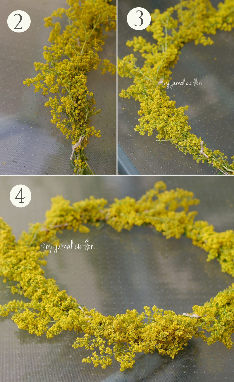 Jurnal cu flori: Coronita din sanziene / dragaica - Tutorial