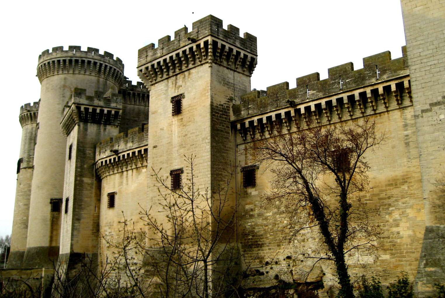 travelousness: Avignon, France