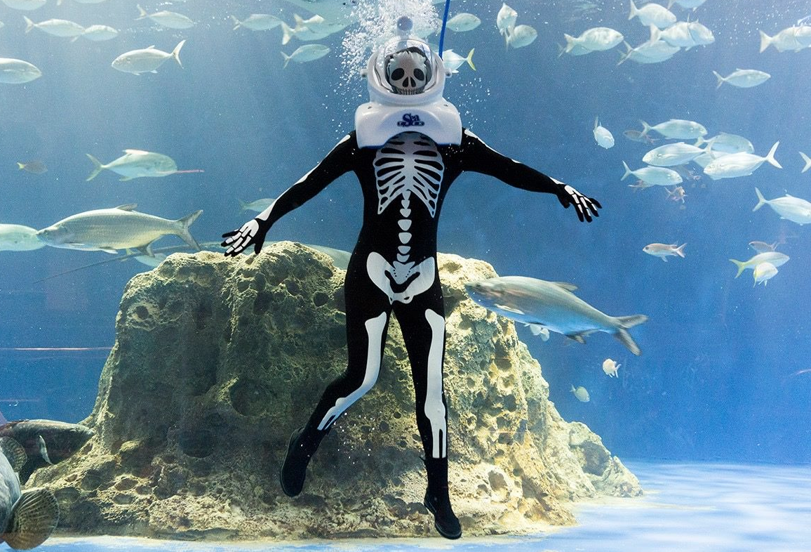 Sub Sea Systems - Our World: A Day in The Life of ...