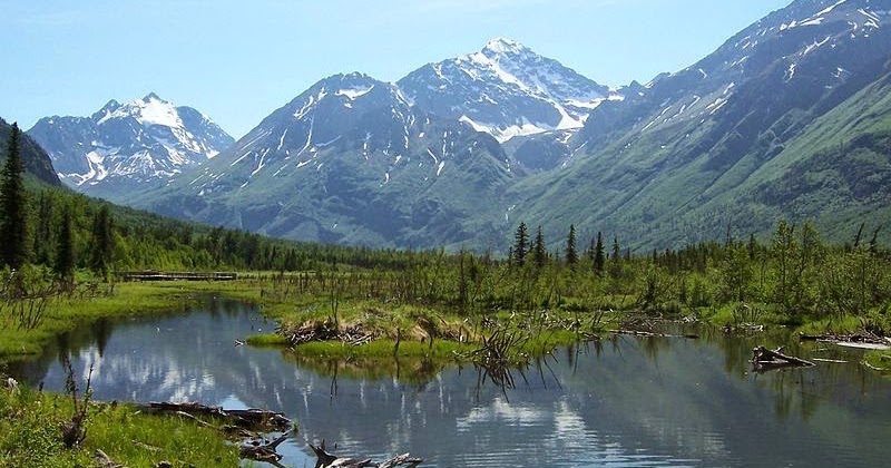 Family Travel Blog : Exploring the Kvichak River in Alaska