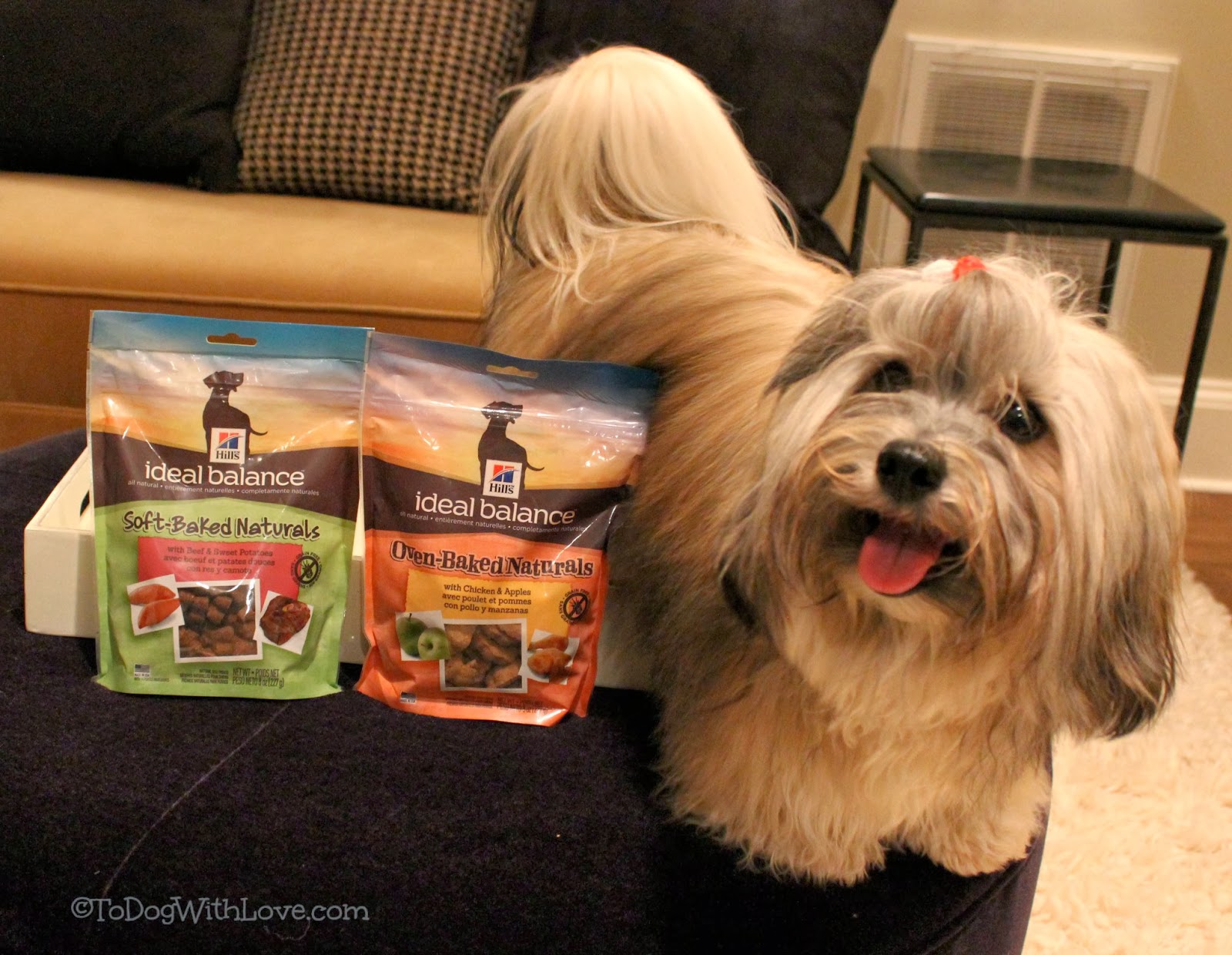 To Dog With Love: Hill's Ideal Balance Natural Dog and Cat Treats Giveaway!