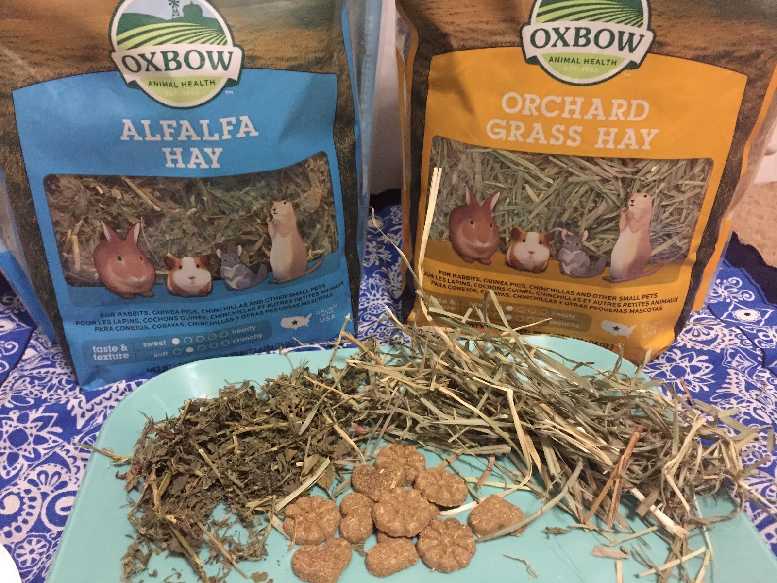 Husky Girl Blog: KMS Hayloft & Oxbow Review - Guinea Pig Products