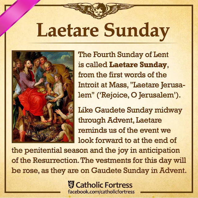 Young catholic adults Latest News: Laetare Sunday