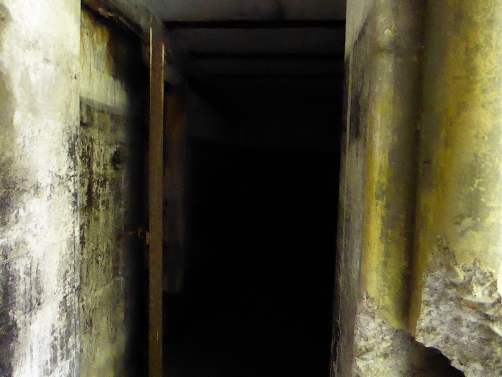 Dirty Walking: Fort Flagler State Park