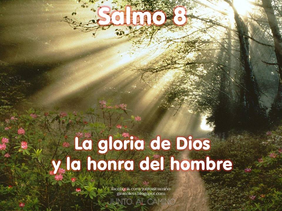 Junto al Camino: SALMO 8