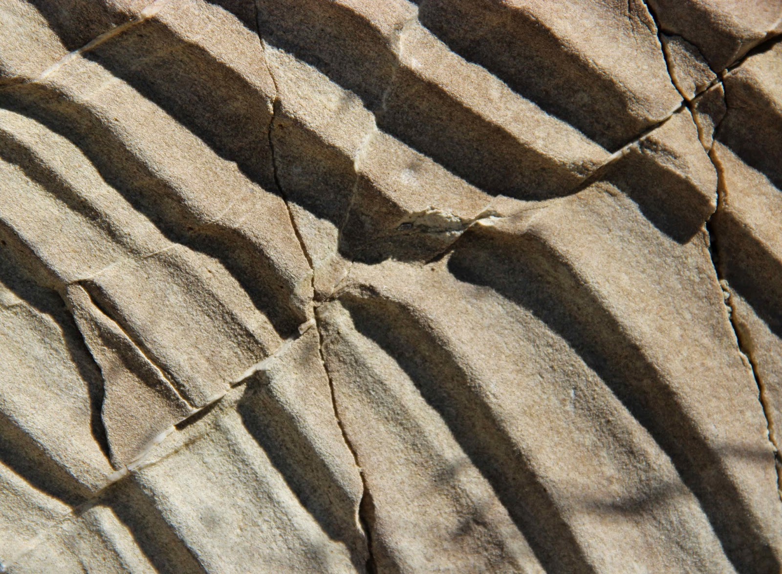 Sundance Sea Jurassic