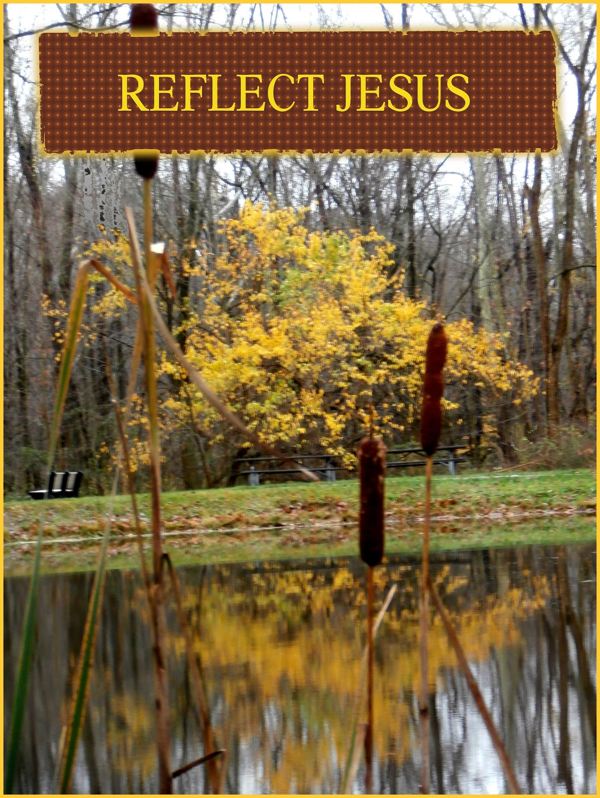 Fall Poster Starters