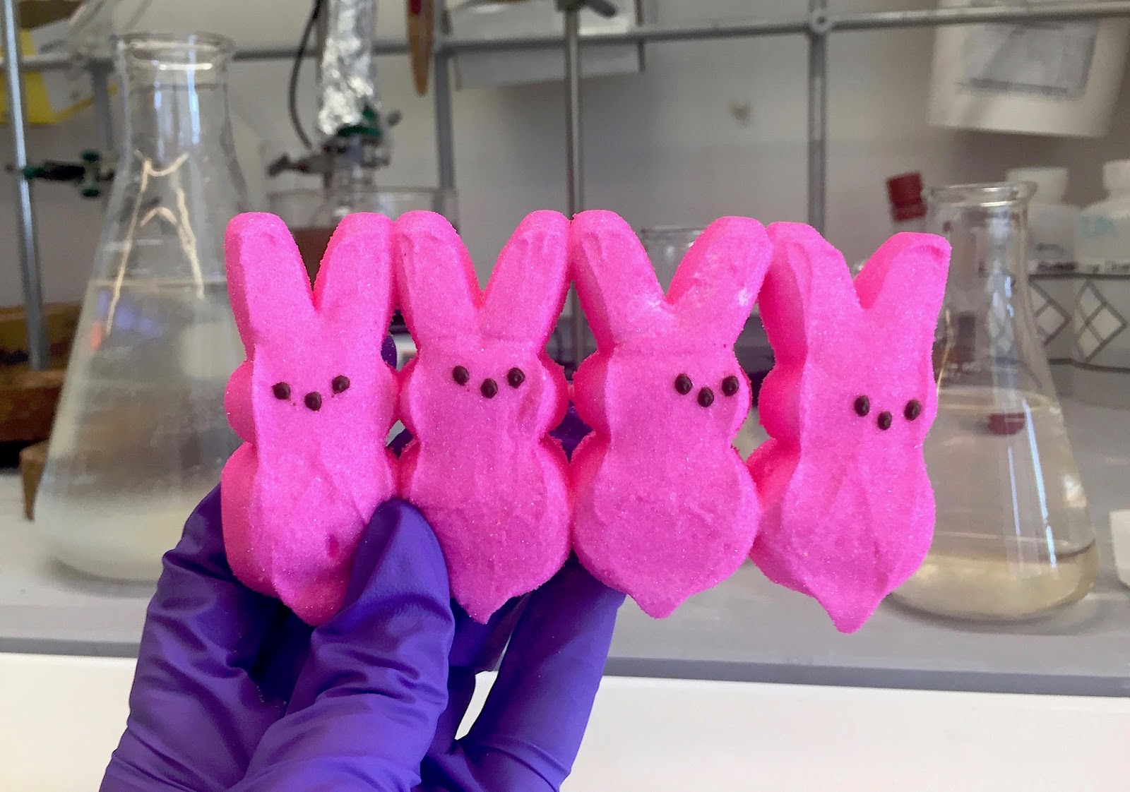 eScienceCommons: The Peeps experiments: Science that never goes stale