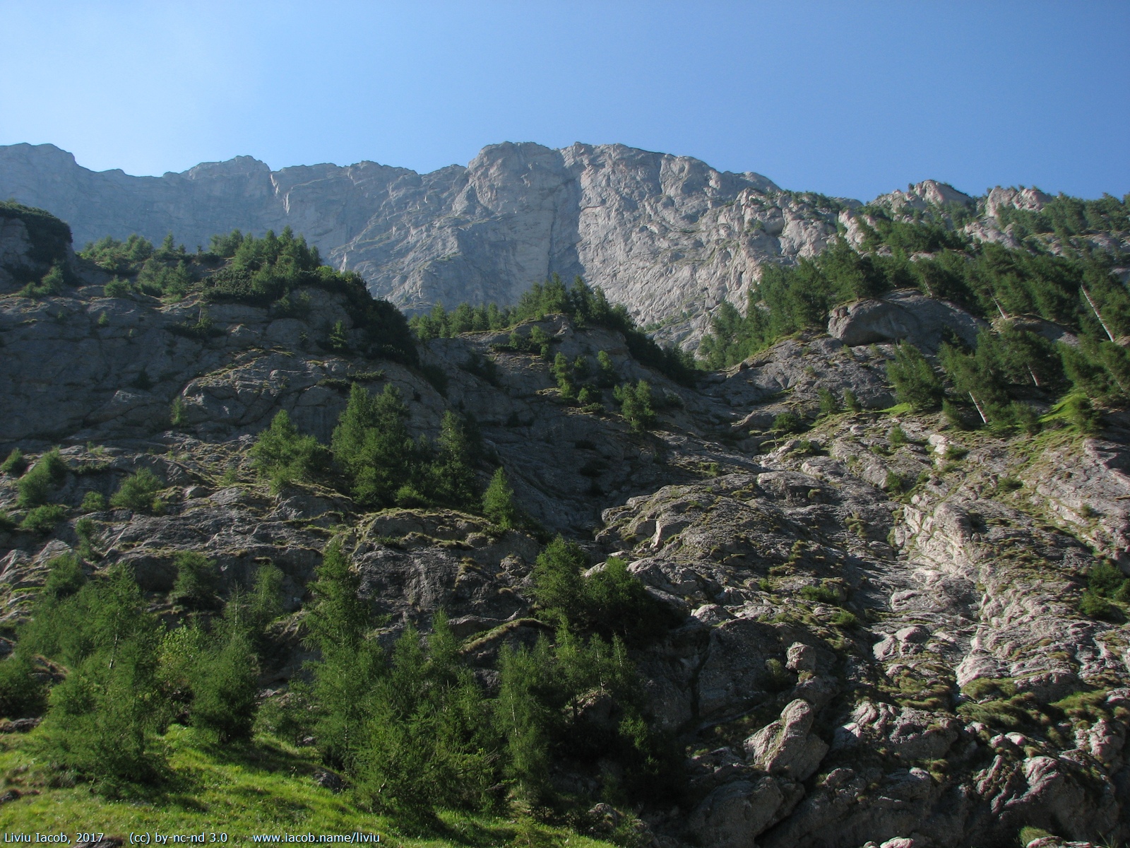 Traseu in Muntii Bucegi: Caminul Alpin (Busteni) - Poiana "La Verdeata ...