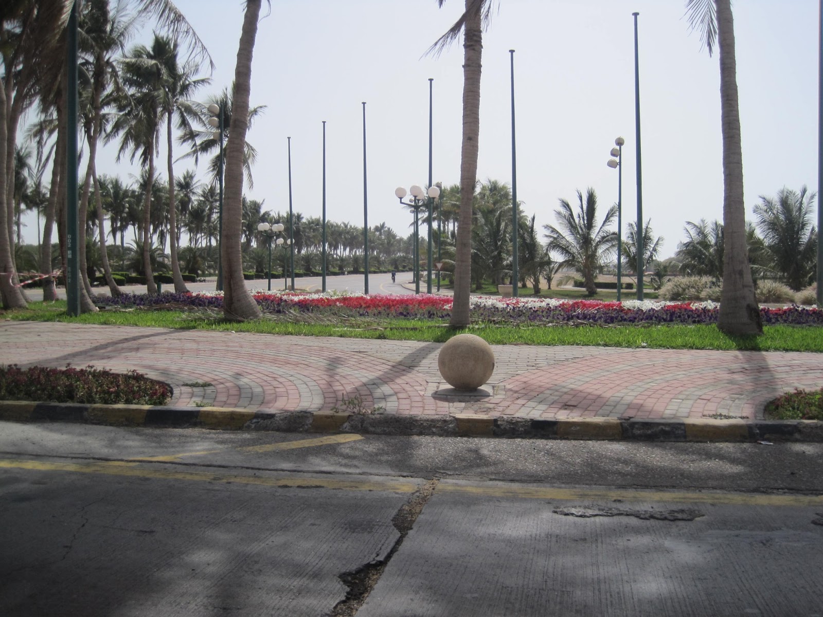 Festival Bunga di Padang Pasir