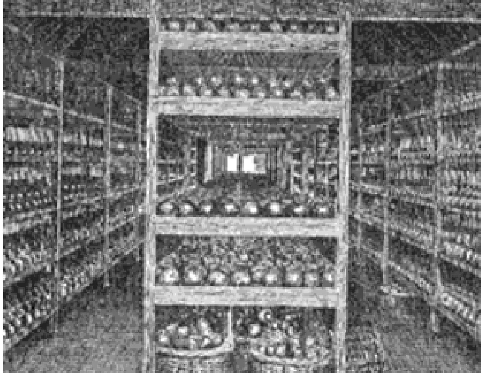 Historical Cookham: The Victorian Apple Store.