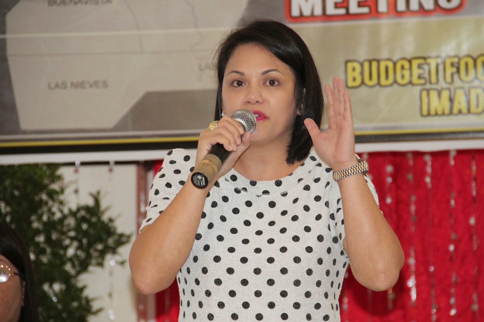 .: Agusan del Norte Provincial Disaster Risk Reduction and Management ...