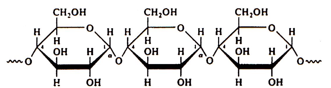 La Cerveza y su Fabricación