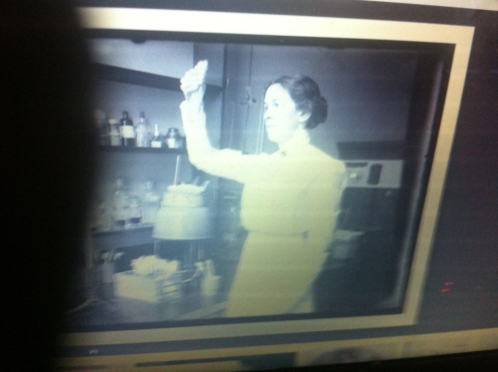 THE BLACK SOCIAL HISTORY:: BLACK SOCIAL HISTORY : AFRICAN AMERICAN ...