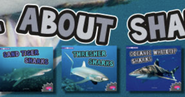 The Library Voice: Bookmarks and 4D All About Sharks!