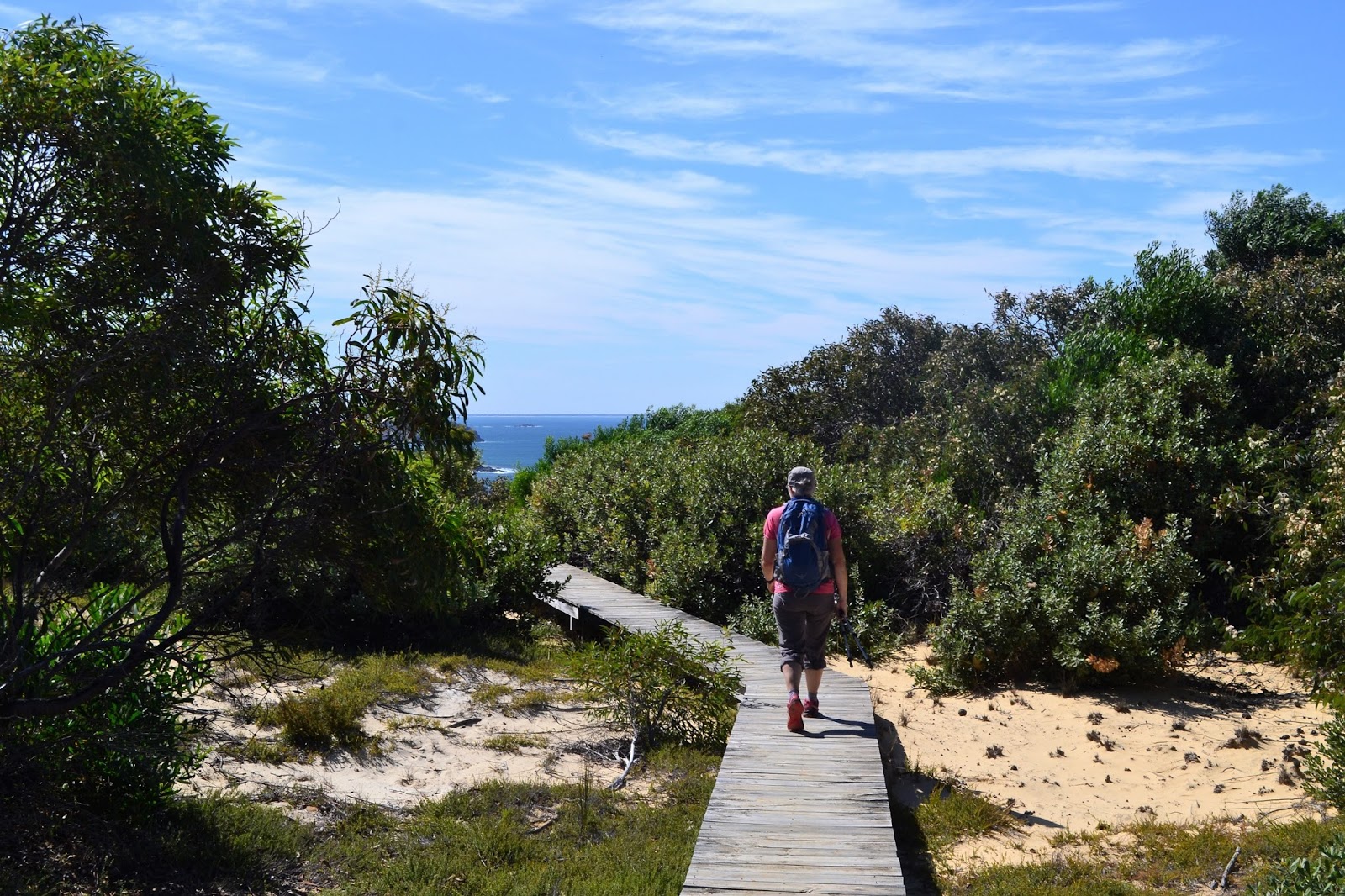 Goin' Feral One Day At A Time: Waitpinga Cliffs, Heysen Trail, Newland ...