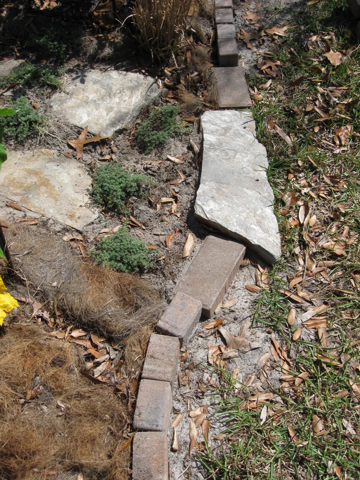 Gardening From the Ground Up: GETTING EDGY