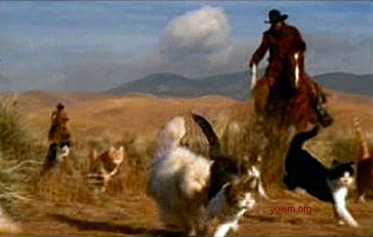 It's Like Herding Cats: 2011