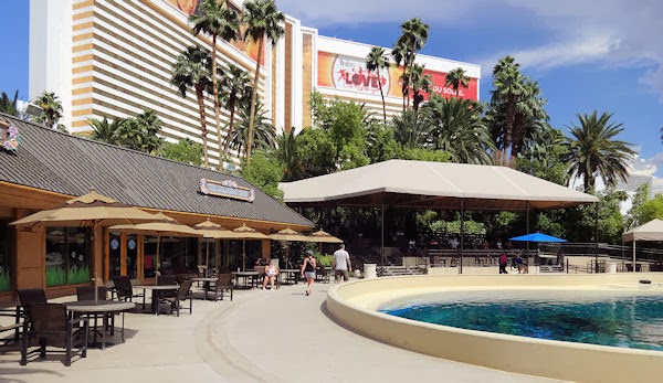 Left Field Wander: The Dolphin Habitat at the Mirage