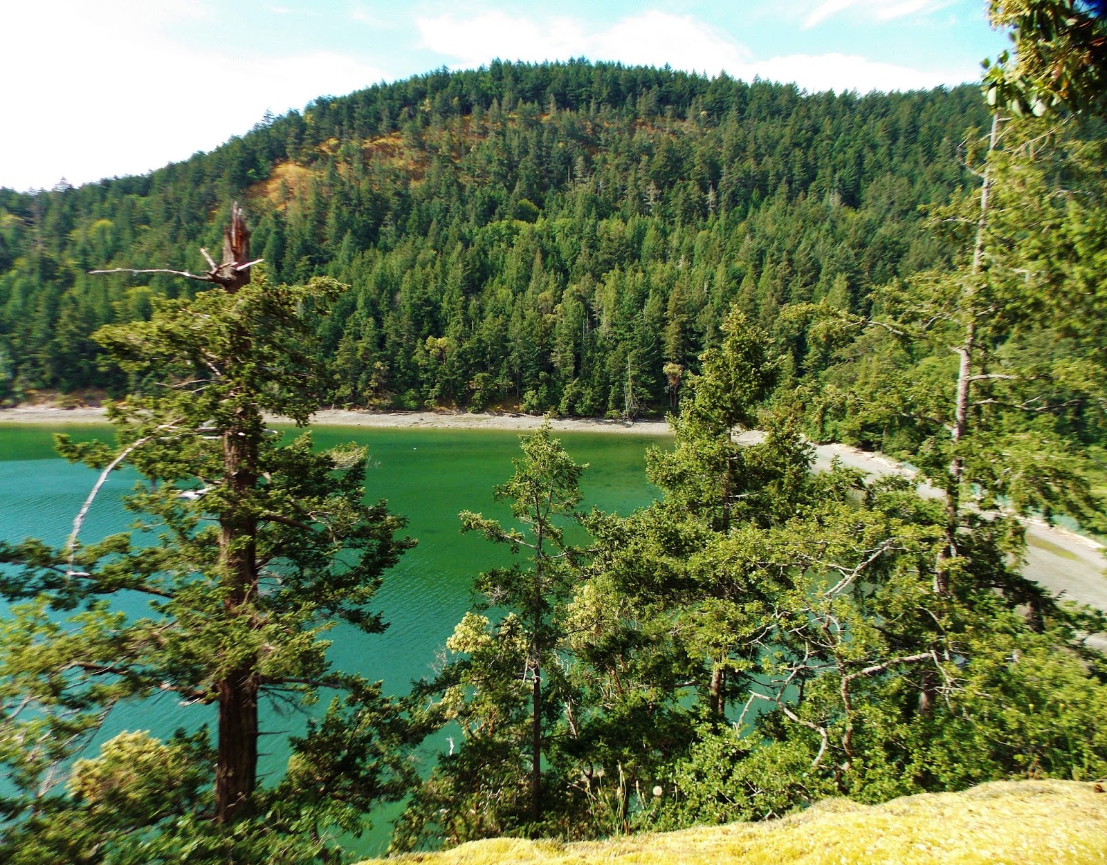 Alaskan Sea-Duction: Stuart Island and Reid Harbor