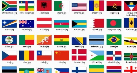 Forms of International Economic Cooperation