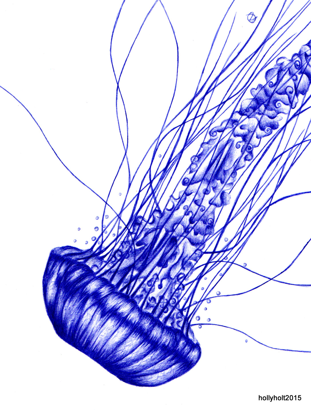 For Illustrative Purposes Only: December 2015