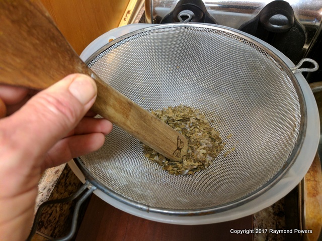 PURE FLORIDA: How To Make America's Tea... Yaupon Holly Tea.