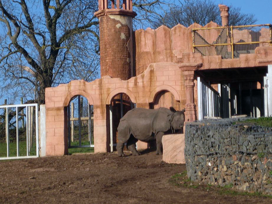 Travel Time!: Wild Winter Safari at West Midland Safari Park