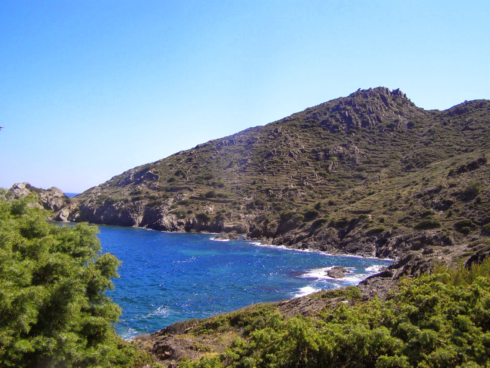 Senders i natura: 17-05-2014 Port de la Selva- Cala Tamariua - Cala ...