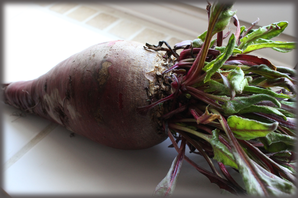The Urban Veg Patch: The Choicest of Beetroot