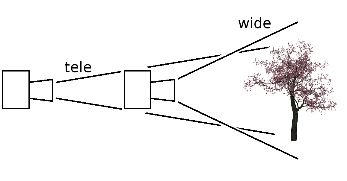 Micro 4/3rds Photography: Tele lenses and perspective