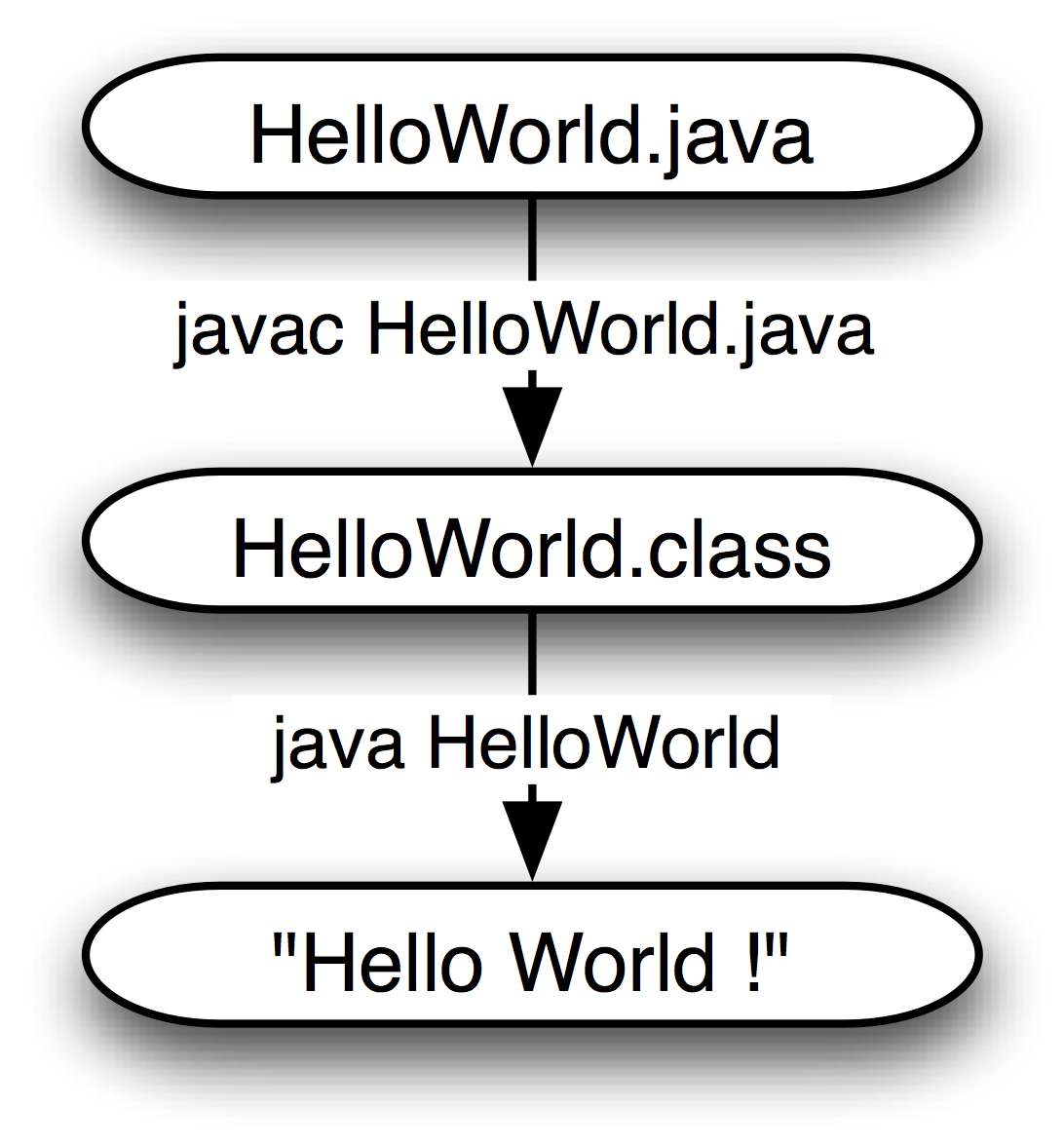 Membuat Program Sederhana Menggunakan Java | Belajar Pemrograman Untuk Pemula