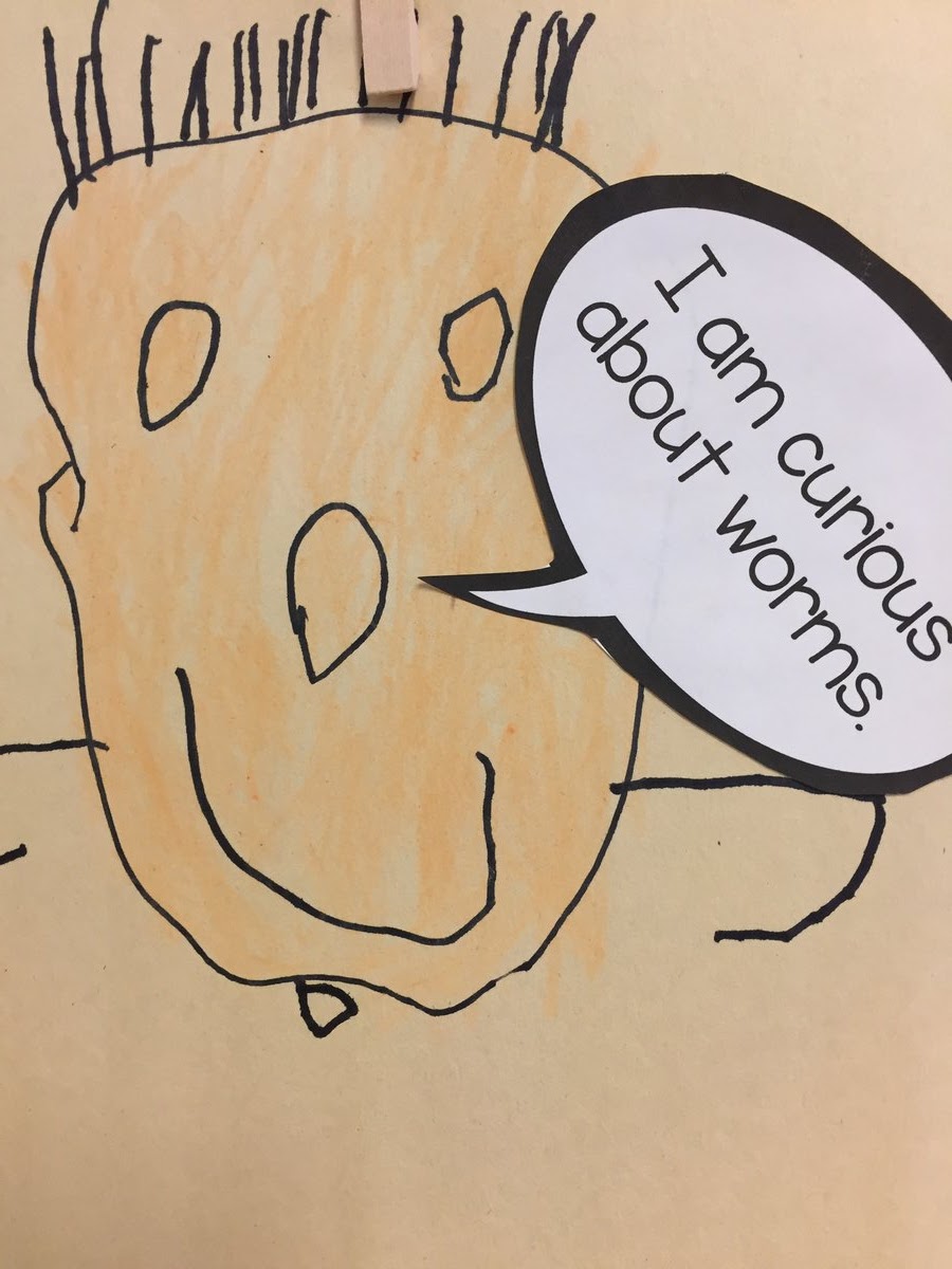 Positivity Project: Curiosity - Roots and Wings