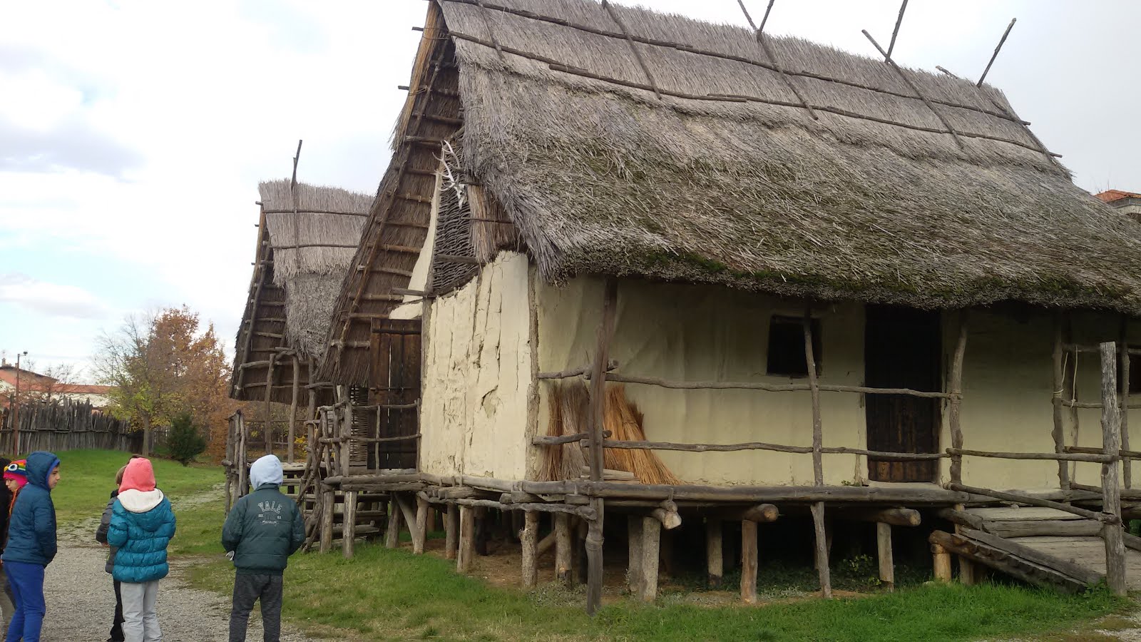 MagnificiAmici: Le civiltà delle Terramare