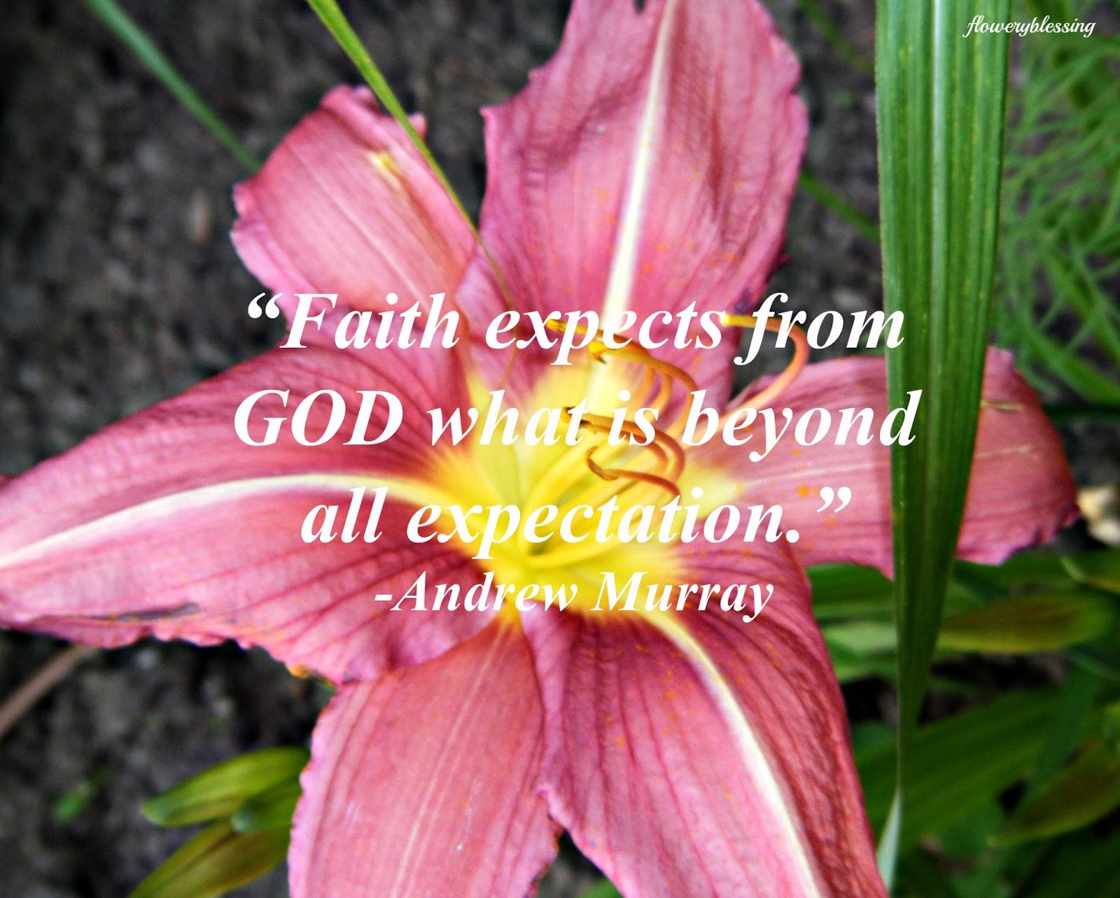 Flowery Blessing: “Faith expects from GOD what is beyond all ...