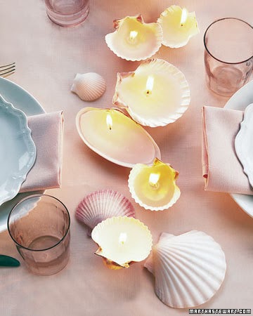 Useful Ways To Use Your Seashells