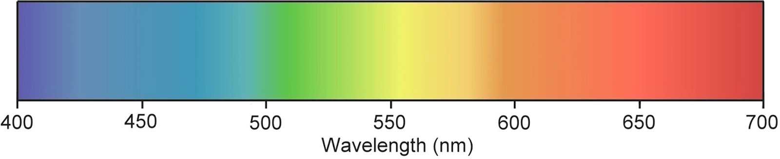 Natural History Museum of L.A. Minblog: The Color of Copper