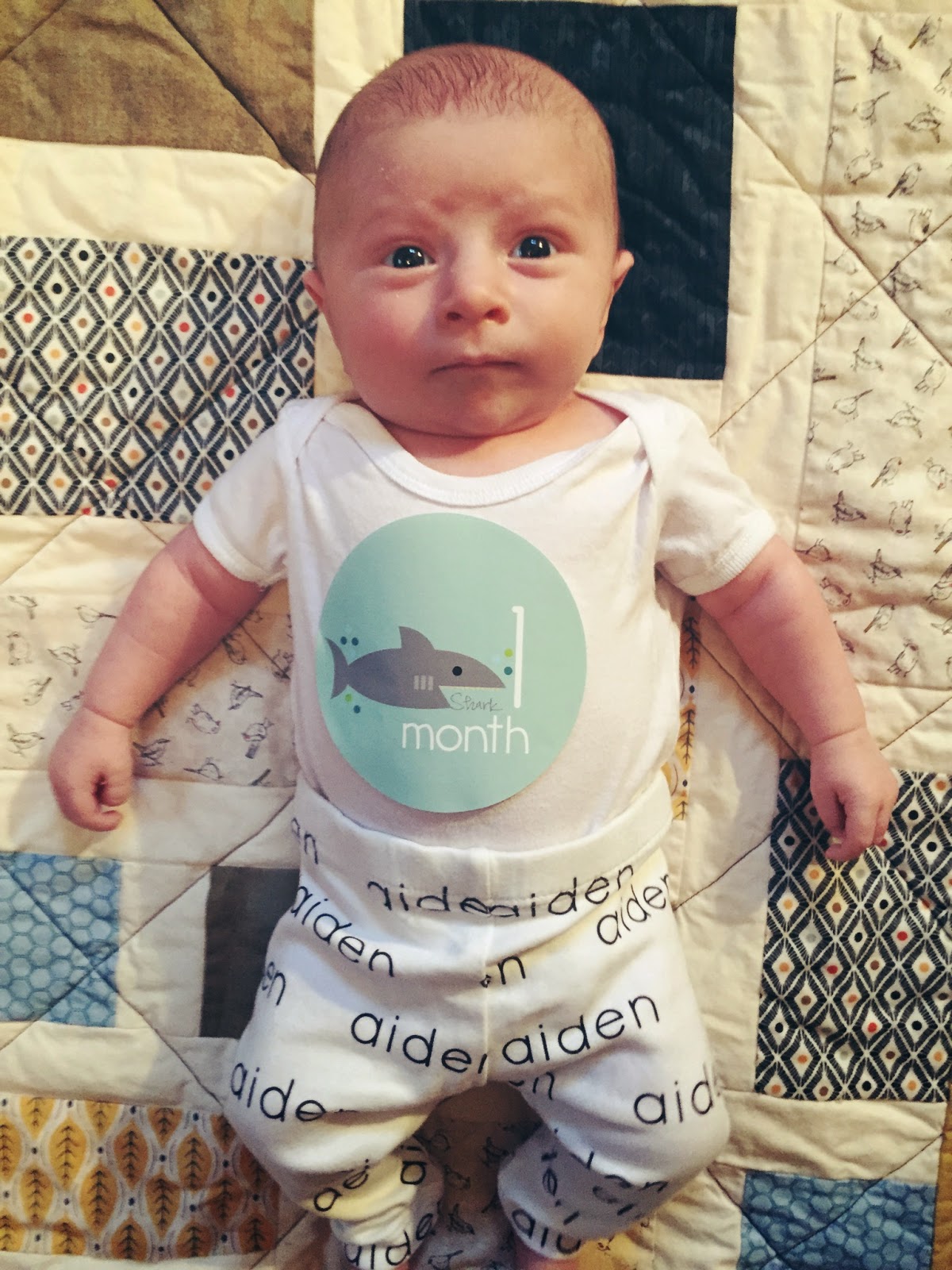 Nestful of love: Aiden Paul {1 month}