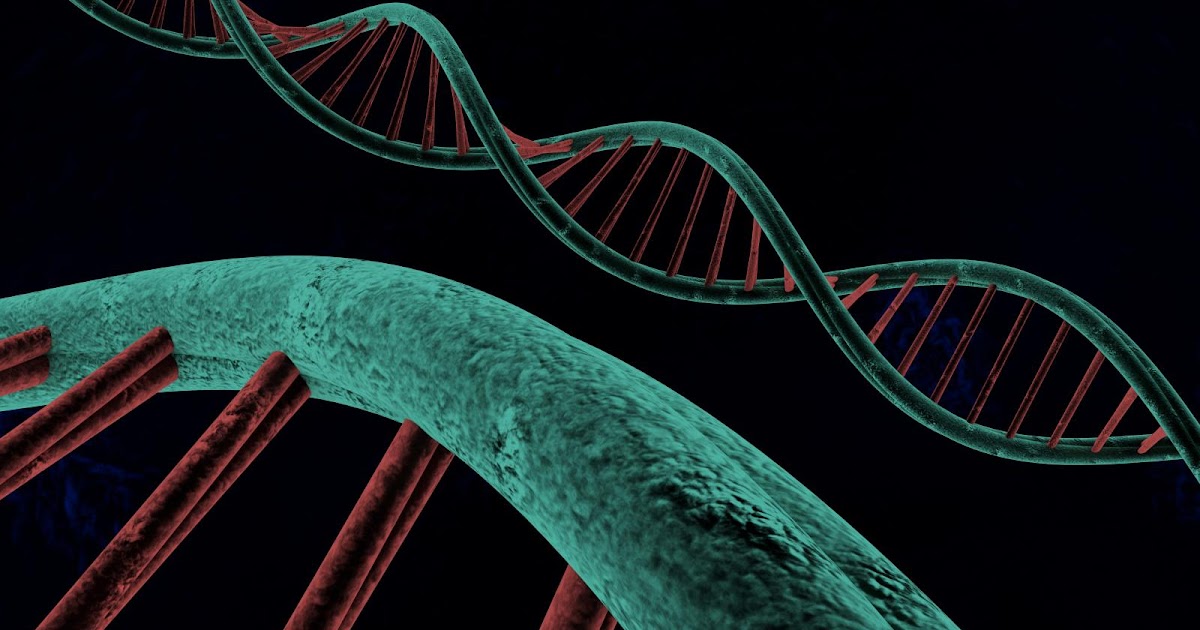 Know more about the fetal gene therapy?