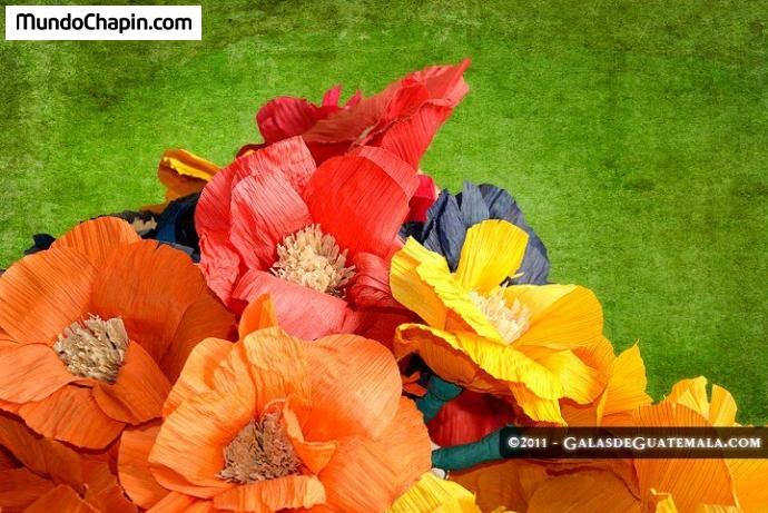 El arte de la tuza: La tuza