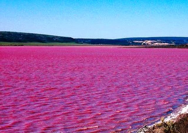 Lago Hillier (Lake Hillier)