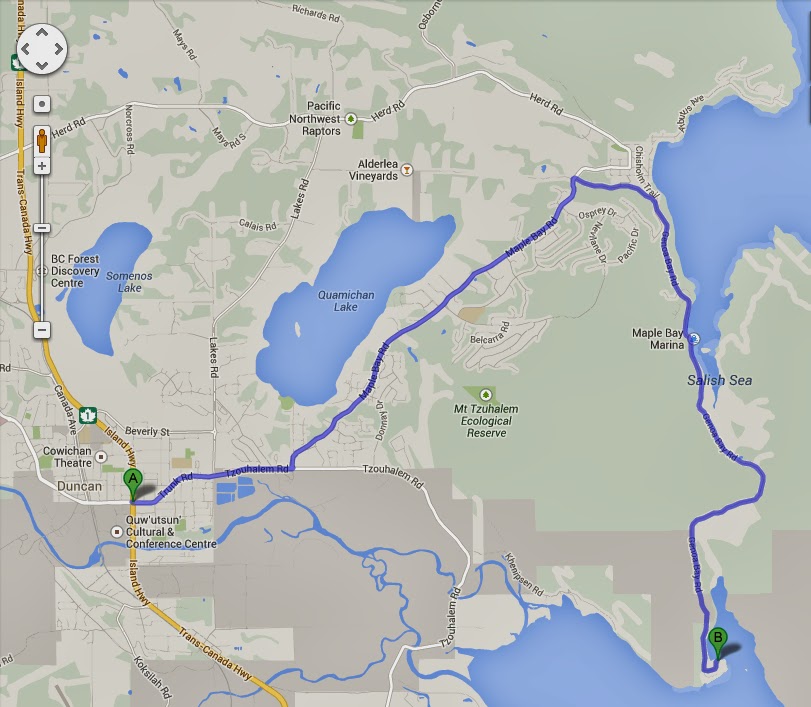 A Word From Aunt B: Genoa Bay