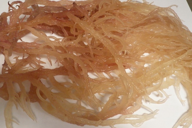 Produk Olahan Rumput Laut