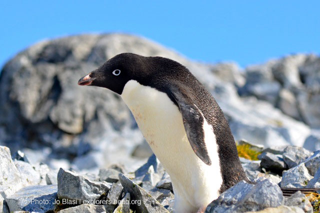 Global Explorers Blog