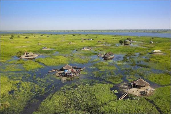 PAMUDURTHI: The Largest Swamp in the World