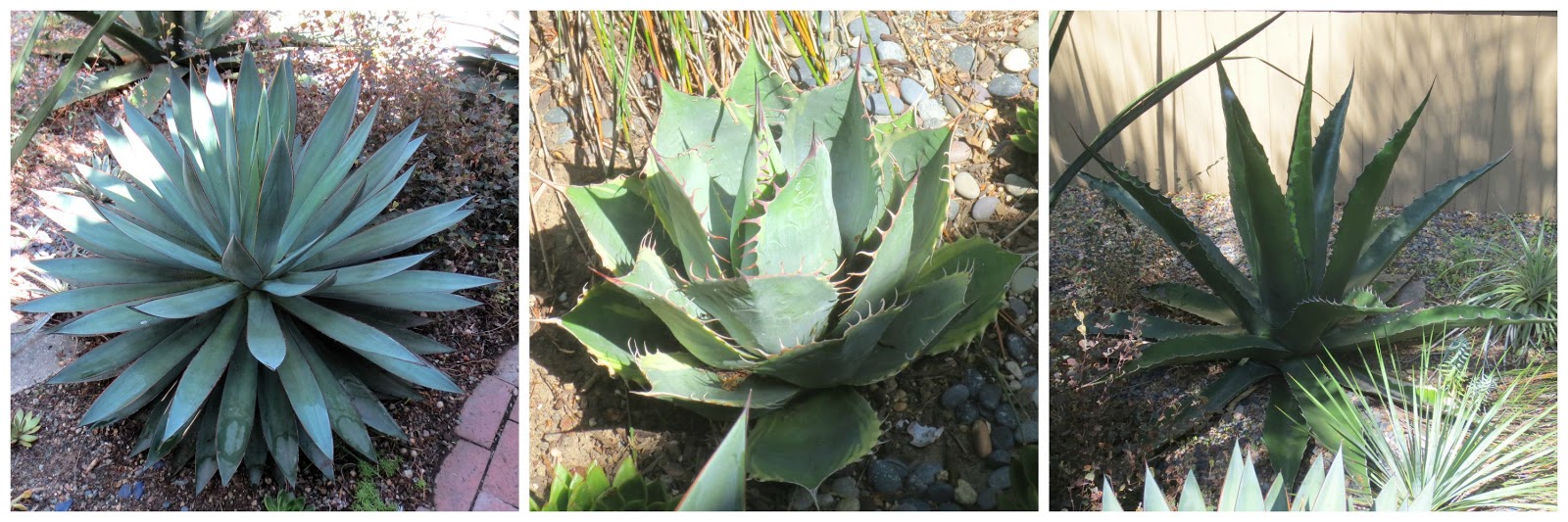 Late to the Garden Party: Using every last inch of space