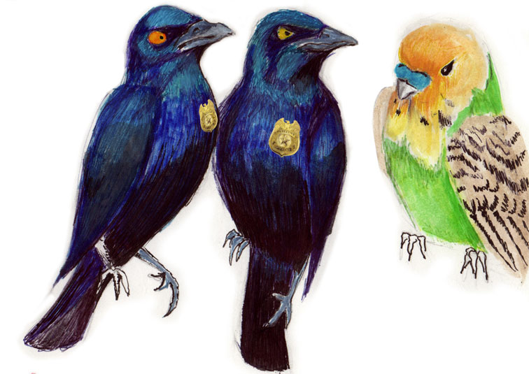 A+a=Z: Murderous Birds