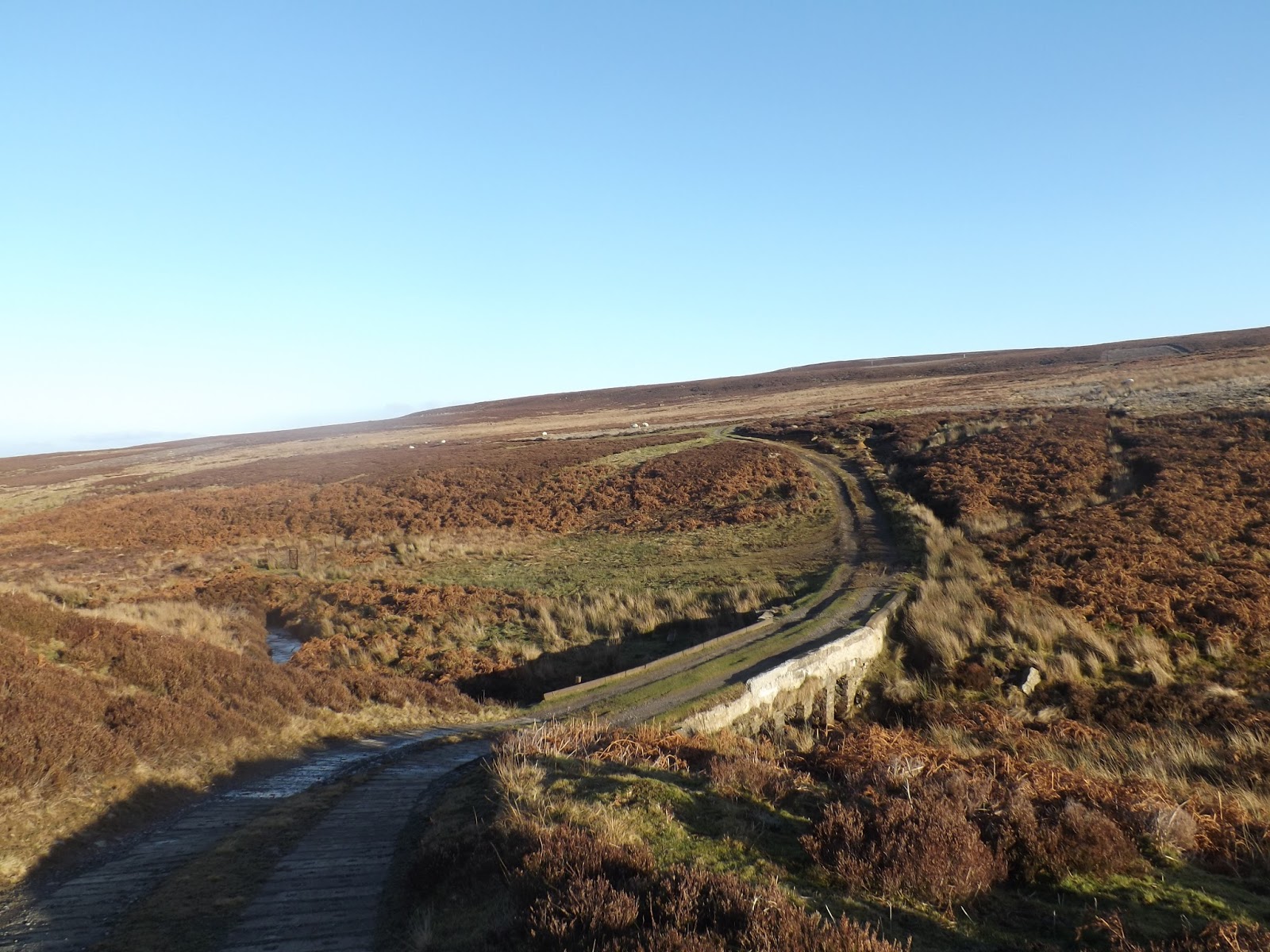 Boz North's Trail - Walking Blog: Waskerley Park, Muggleswick Common ...