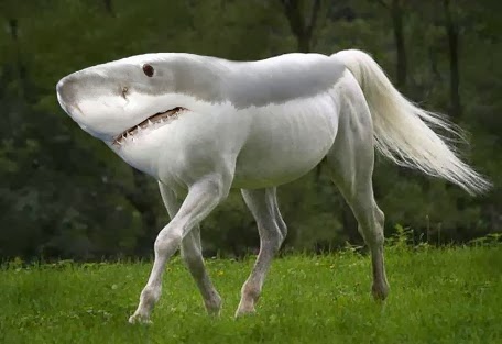 Core French with Mme Batchelor: Les animaux mélangés