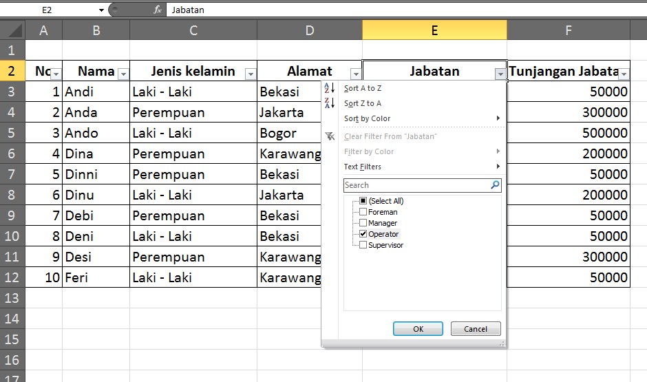 Cara Memfilter Data Di Excel Berdasarkan Kategori Lalu Membuatkan Tabel ...